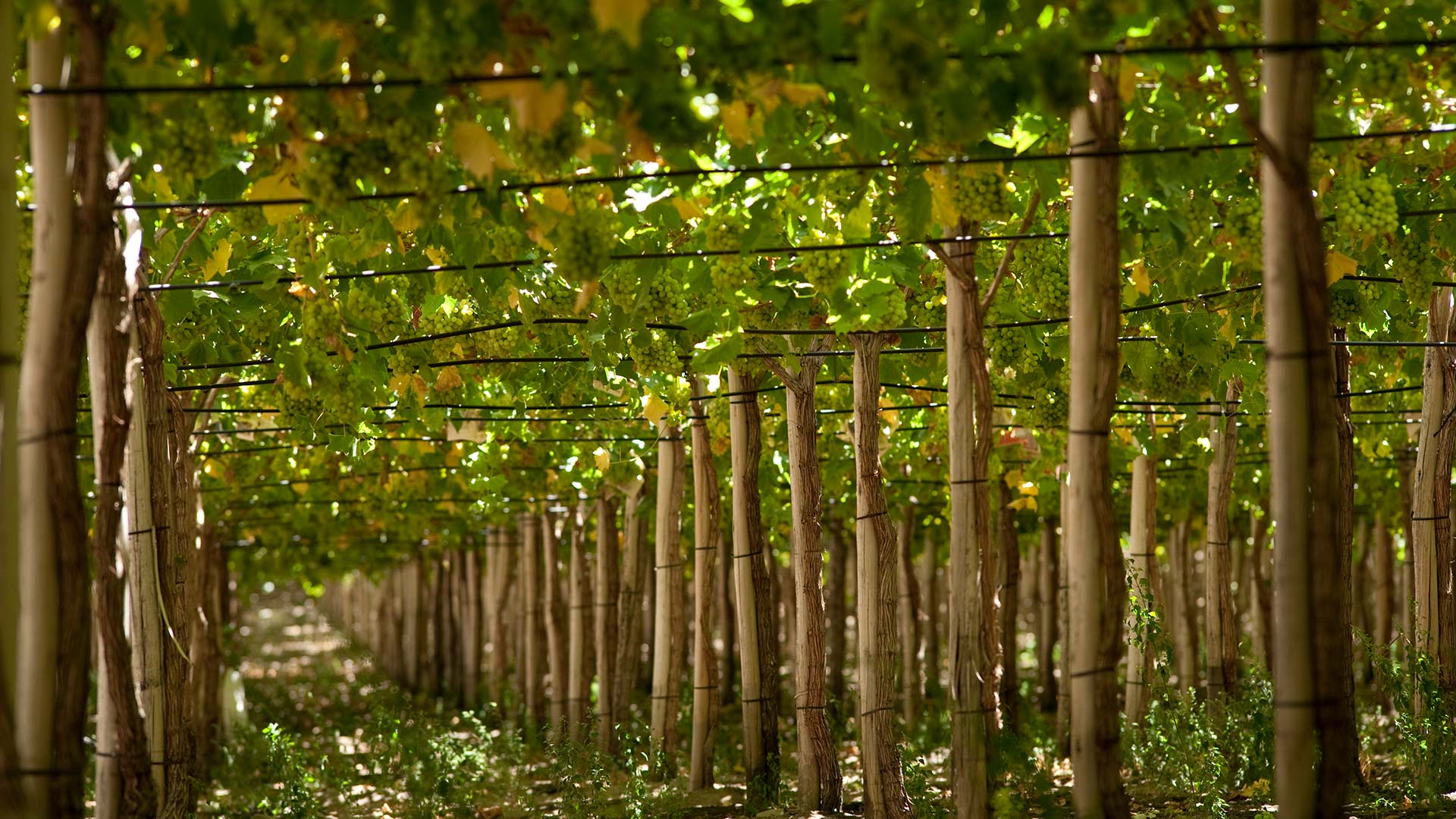 Polar Fresh Group - Contact - Polar Fresh Group